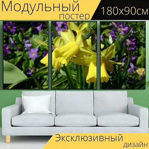 Модульный постер "Нарцисс, весна, желтый" 180 x 90 см. для интерьера