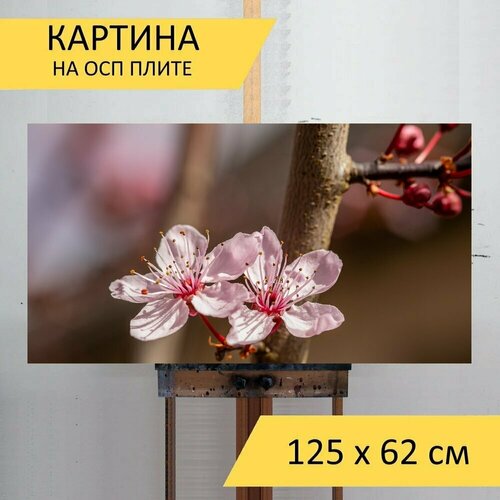 Картина на ОСП 125х62 см. "Цветок, природа, вишневого дерева" горизонтальная, для интерьера, с креплениями