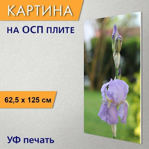 Вертикальная картина на ОСП "Ирис, цветок, пестик" 62x125 см. для интерьериа