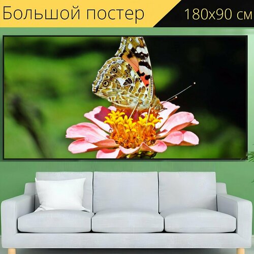 Большой постер "Бабочка, цветок, опыление" 180 x 90 см. для интерьера