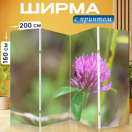 Ширма перегородка с принтом "Цвести, нежный, цветок" на холсте - 200x160 см. для зонирования, раскладная