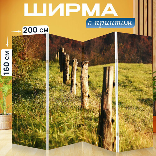 Ширма перегородка с принтом "Словакия, природа, осень" на холсте - 200x160 см. для зонирования, раскладная