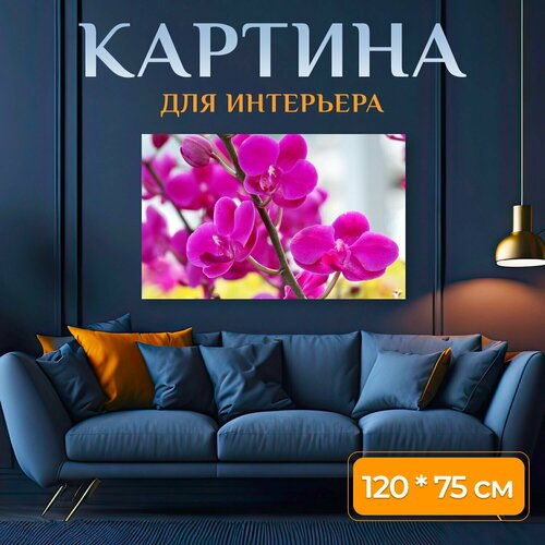 Картина на холсте "Розовый, орхидеи, цветы" на подрамнике 120х75 см. для интерьера