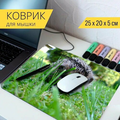 Коврик для мыши с принтом "Ежик, луг, колючий" 25x20см.