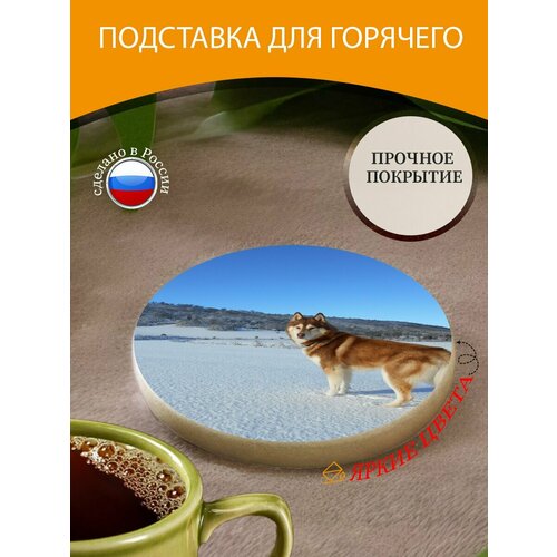 Подставка под горячее "Сибирский хаски, собака, pet" 10 см. из блого мрамора