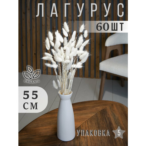 Лагурус сухоцвет белый 60шт, Сухоцветы для декора ARANTA 35г, Букет 55 см