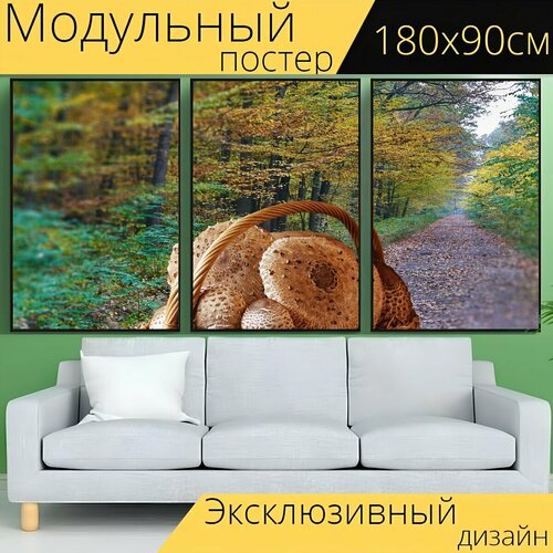 Модульный постер "Гриб, лес, осень" 180 x 90 см. для интерьера
