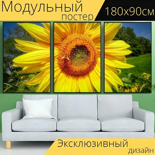Модульный постер "Подсолнух, пчела, желтый" 180 x 90 см. для интерьера