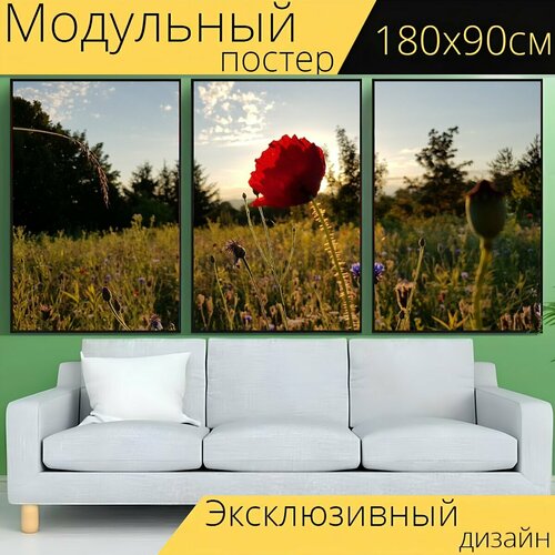 Модульный постер "Пейзаж, цветы, заход солнца" 180 x 90 см. для интерьера
