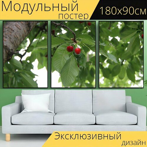 Модульный постер "Вишня, фрукты, дерево" 180 x 90 см. для интерьера