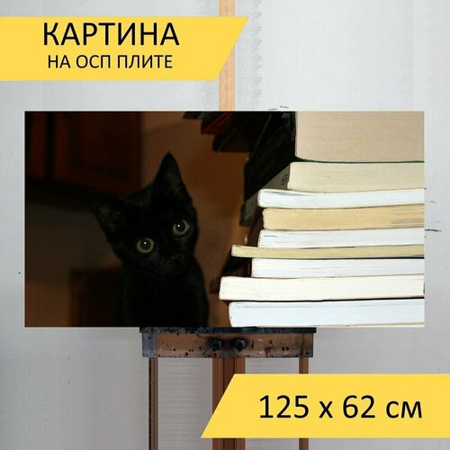 Картина на ОСП 125х62 см. "Кошка, книги, чернить" горизонтальная, для интерьера, с креплениями