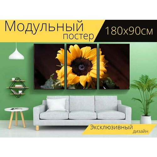 Модульный постер "Подсолнух, солнце, цветок" 180 x 90 см. для интерьера