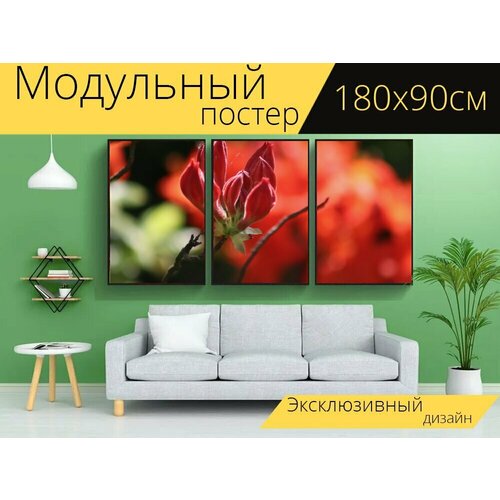 Модульный постер "Азалия, рододендрон, яркий" 180 x 90 см. для интерьера