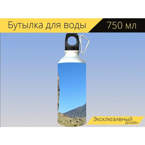 Бутылка фляга для воды "Камень, тенерифе, тейде" 750 мл. с карабином и принтом