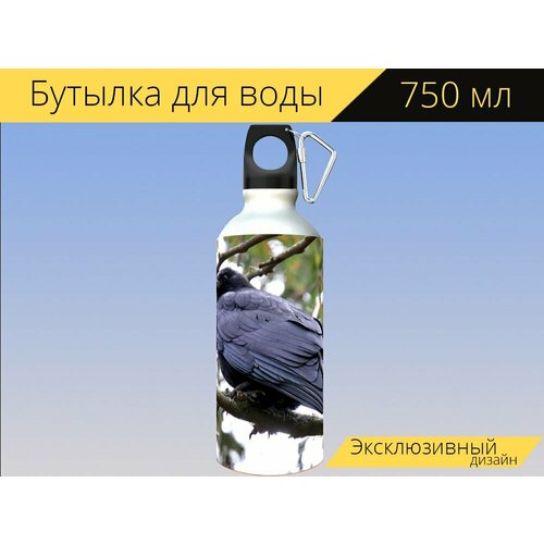 Бутылка фляга для воды "Ворона, птицы, расположенный" 750 мл. с карабином и принтом