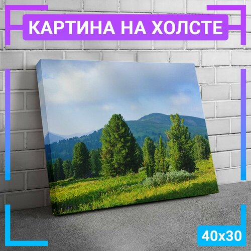 Картина интерьерная на холсте "Поляна на фоне гор" 40х30 см