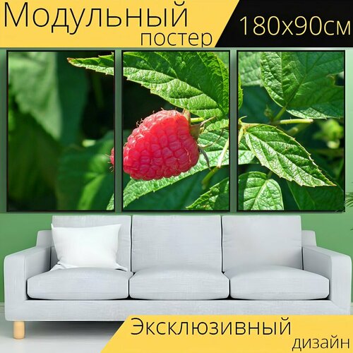 Модульный постер "Малина, фрукты, витамины" 180 x 90 см. для интерьера