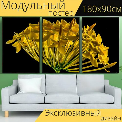 Модульный постер "Цвести, цветок, желтый" 180 x 90 см. для интерьера