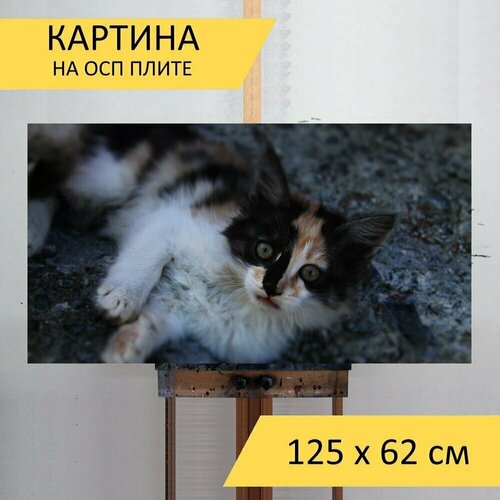 Картина на ОСП 125х62 см. "Кошка, кот, глаза" горизонтальная, для интерьера, с креплениями
