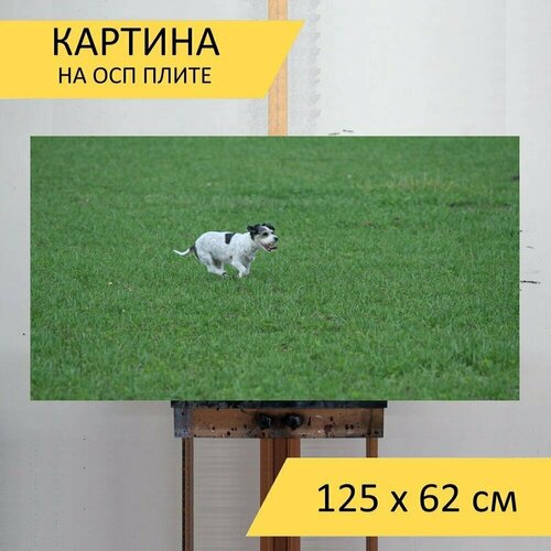 Картина на ОСП 125х62 см. "Собака, прейри, трава" горизонтальная, для интерьера, с креплениями
