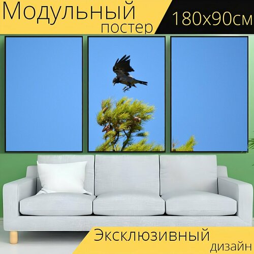 Модульный постер "Ворона, птица, природа" 180 x 90 см. для интерьера