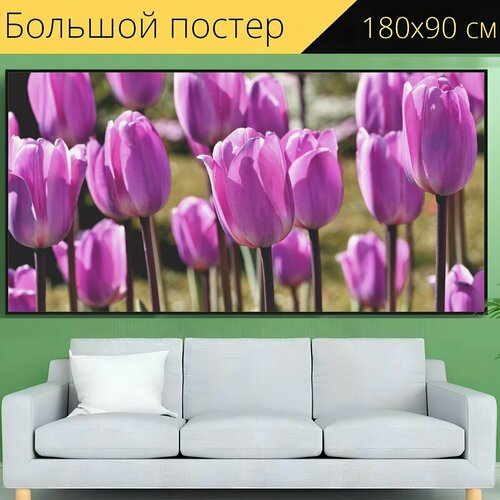 Большой постер "Тюльпаны, цветы, фиолетовые тюльпаны" 180 x 90 см. для интерьера