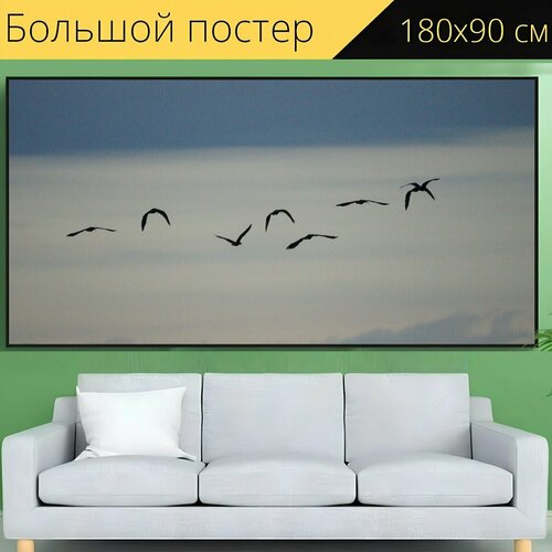 Большой постер "Птицы, рейс, голуби" 180 x 90 см. для интерьера