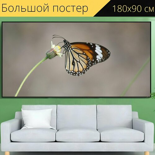 Большой постер "Бабочка, цветок, опылять" 180 x 90 см. для интерьера