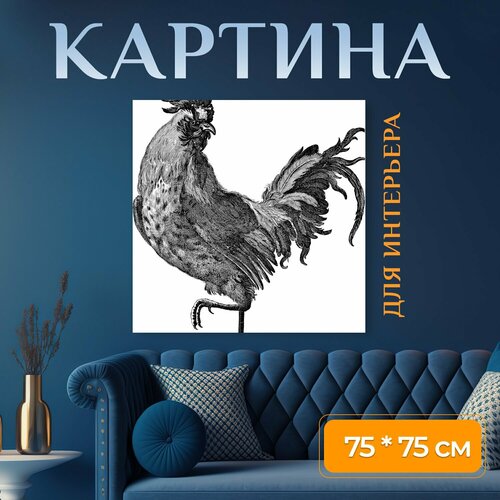 Картина на холсте "Петух, животное, штриховая графика" на подрамнике 75х75 см. для интерьера