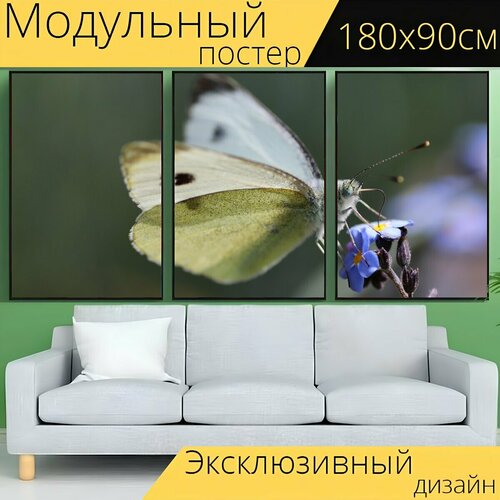 Модульный постер "Белый, бабочка, насекомое" 180 x 90 см. для интерьера