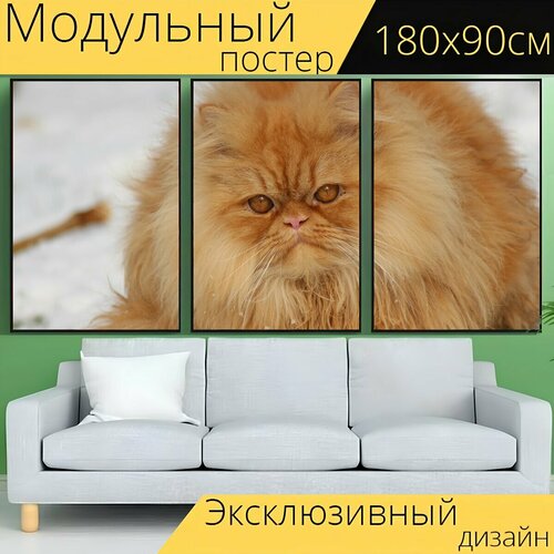 Модульный постер "Животное, кот, милый" 180 x 90 см. для интерьера