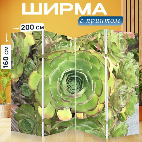 Ширма перегородка с принтом "Сочный, флора, лист" на холсте - 200x160 см. для зонирования, раскладная