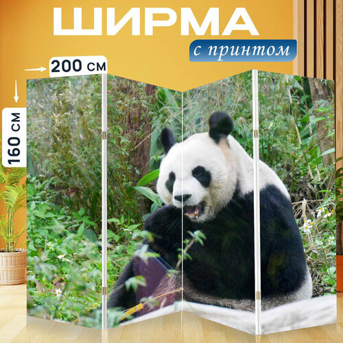 Ширма перегородка с принтом "Панда, зоопарк" на холсте - 200x160 см. для зонирования, раскладная