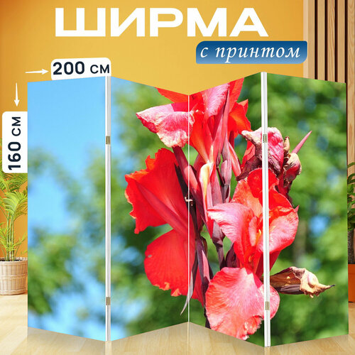 Ширма перегородка с принтом "Цветок, природа, завод" на холсте - 200x160 см. для зонирования, раскладная