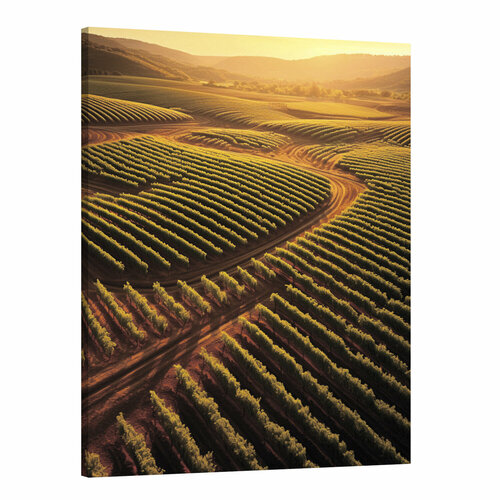 Интерьерная картина 50х70 "Вино на закате"