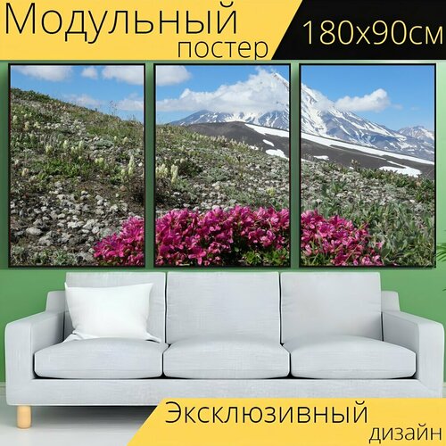 Модульный постер "Рододендроны цветы, вулканы, горы" 180 x 90 см. для интерьера