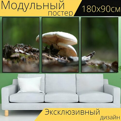 Модульный постер "Сссс, мм, ммм" 180 x 90 см. для интерьера