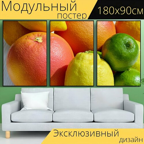 Модульный постер "Фрукты, еда, тропические фрукты" 180 x 90 см. для интерьера