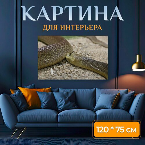 Картина на холсте "Змея, рептилия, весы" на подрамнике 120х75 см. для интерьера