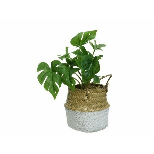 Искусственное растение монстера В плетёном кашпо, 26 см, Kaemingk 801337-2