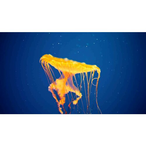 Картина на холсте 60x110 LinxOne "Медуза, jellyfish invasion, желтая" интерьерная для дома / на стену / на кухню / с подрамником
