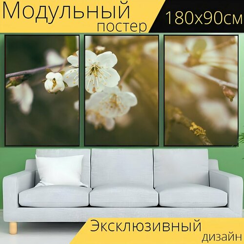 Модульный постер "Цветок, вишня, весна" 180 x 90 см. для интерьера