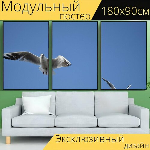 Модульный постер "Небеса, птица, чайка" 180 x 90 см. для интерьера