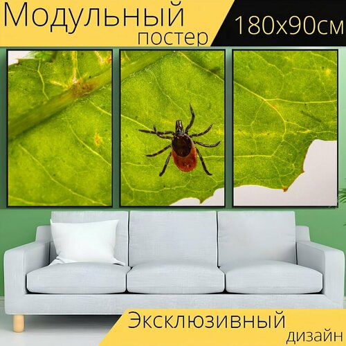 Модульный постер "Поставить галочку, насекомое, паразитарные" 180 x 90 см. для интерьера