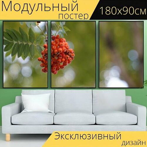 Модульный постер "Ягоды, фрукты, листья" 180 x 90 см. для интерьера