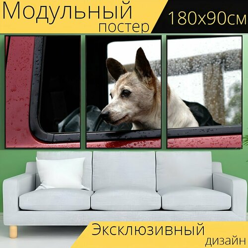 Модульный постер "Собака, одомашненный, домашний питомец" 180 x 90 см. для интерьера