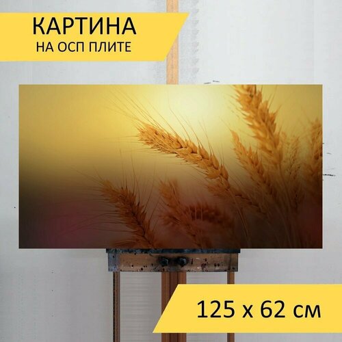 Картина на ОСП 125х62 см. "Пшеница, пшеничный колос, ухо" горизонтальная, для интерьера, с креплениями