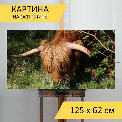 Картина на ОСП 125х62 см. "Высокогорная корова, корова, трава" горизонтальная, для интерьера, с креплениями