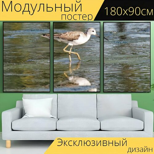 Модульный постер "Поручейник, птица, дикая природа" 180 x 90 см. для интерьера
