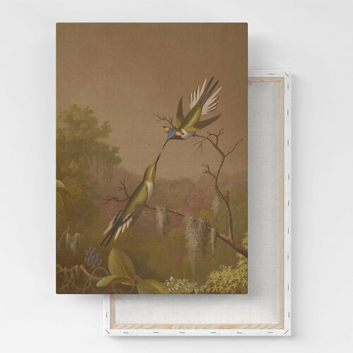 Картина на холсте, репродукция / Мартин Джонсон Хед - Brazilian Hummingbirds II / Размер 30 x 40 см